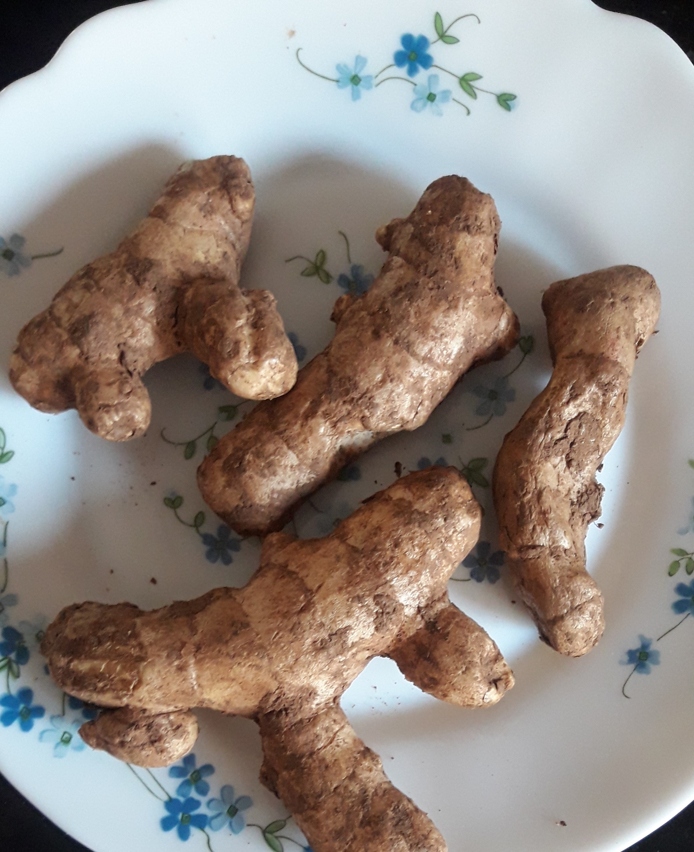 Manga Inji Kuzhambu (Mango Ginger Curry) – wholefoodplantbased